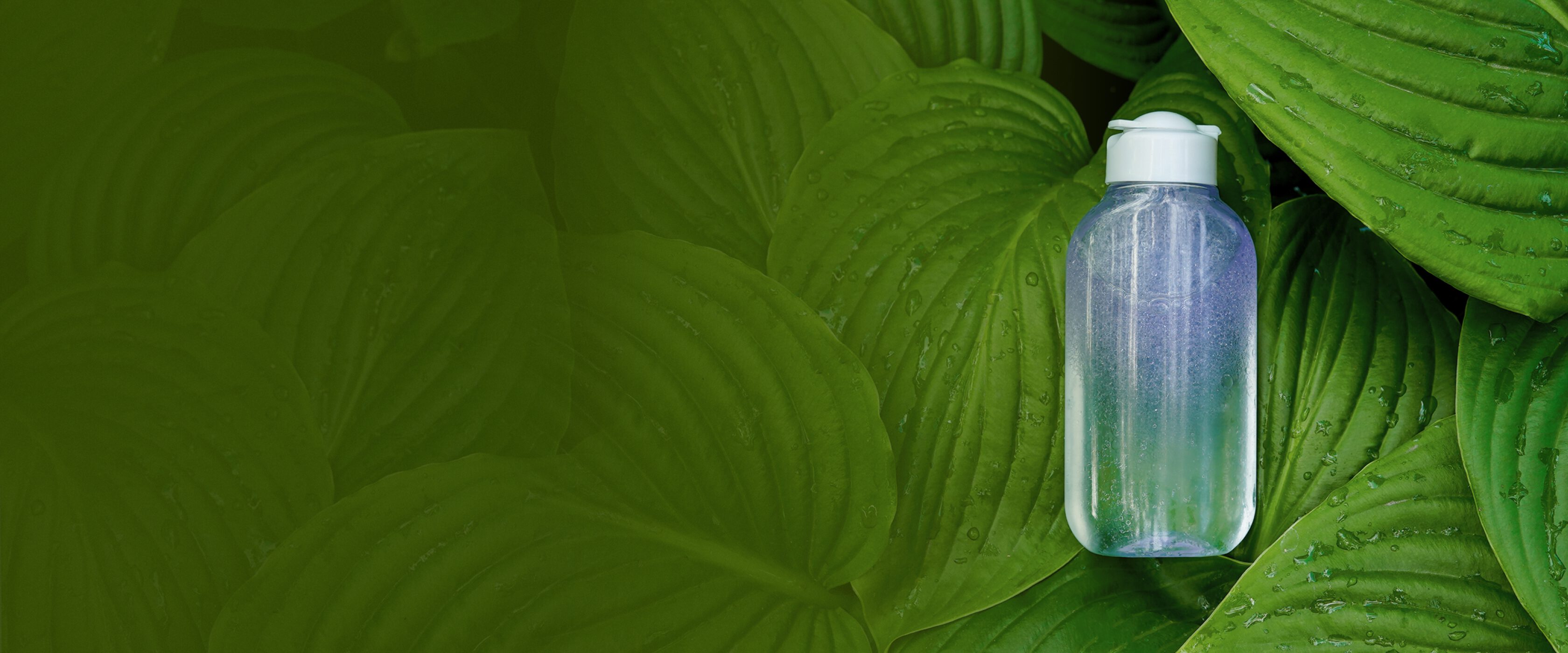 Sure Skin – Official Website – The Sure Solution For Radiant Skin